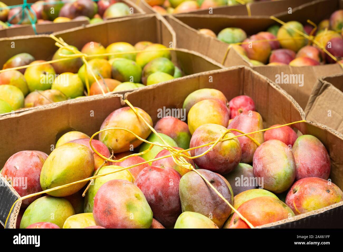 pile of mangoes in the Colombian market, image Stock Photo - Alamy