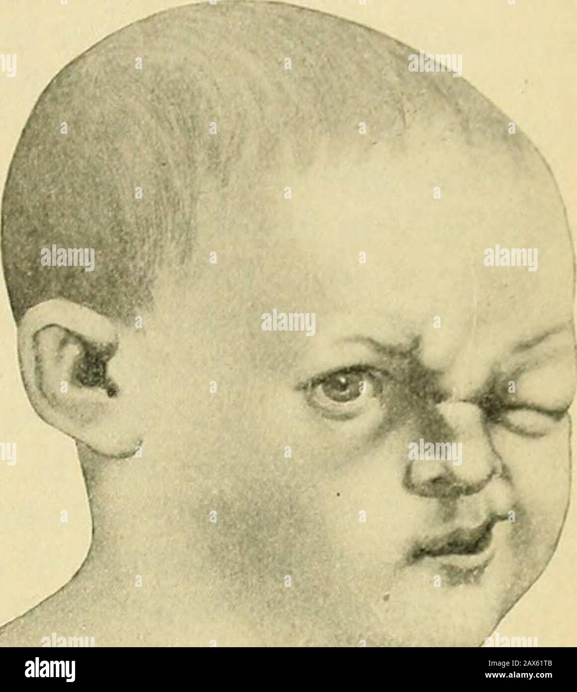 The practice of obstetrics, designed for the use of students and ...