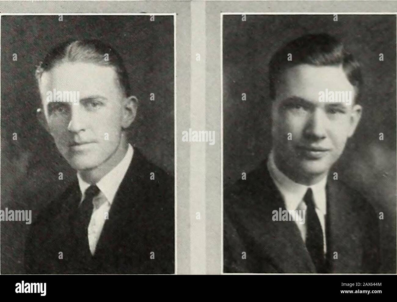 The modulus Stock Photo - Alamy