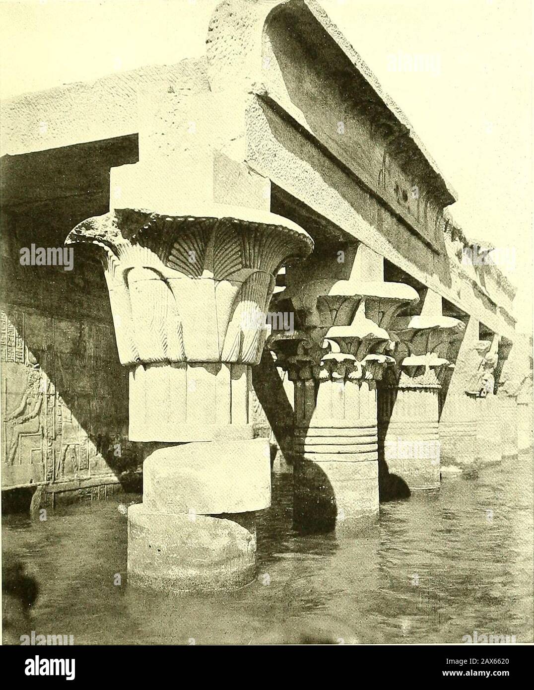 Egypt and its monuments . ,and of harsh and yellow-green grass ...