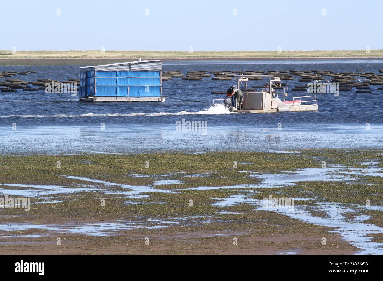 Fish farming along the shores of the Gaspe coast in Quebec, Canada ...