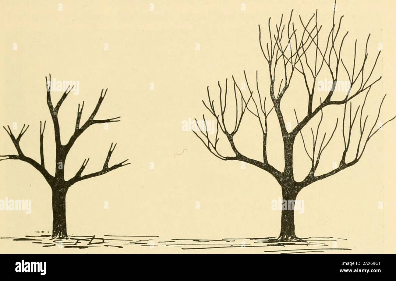 Arm destroys hi-res stock photography and images - Alamy