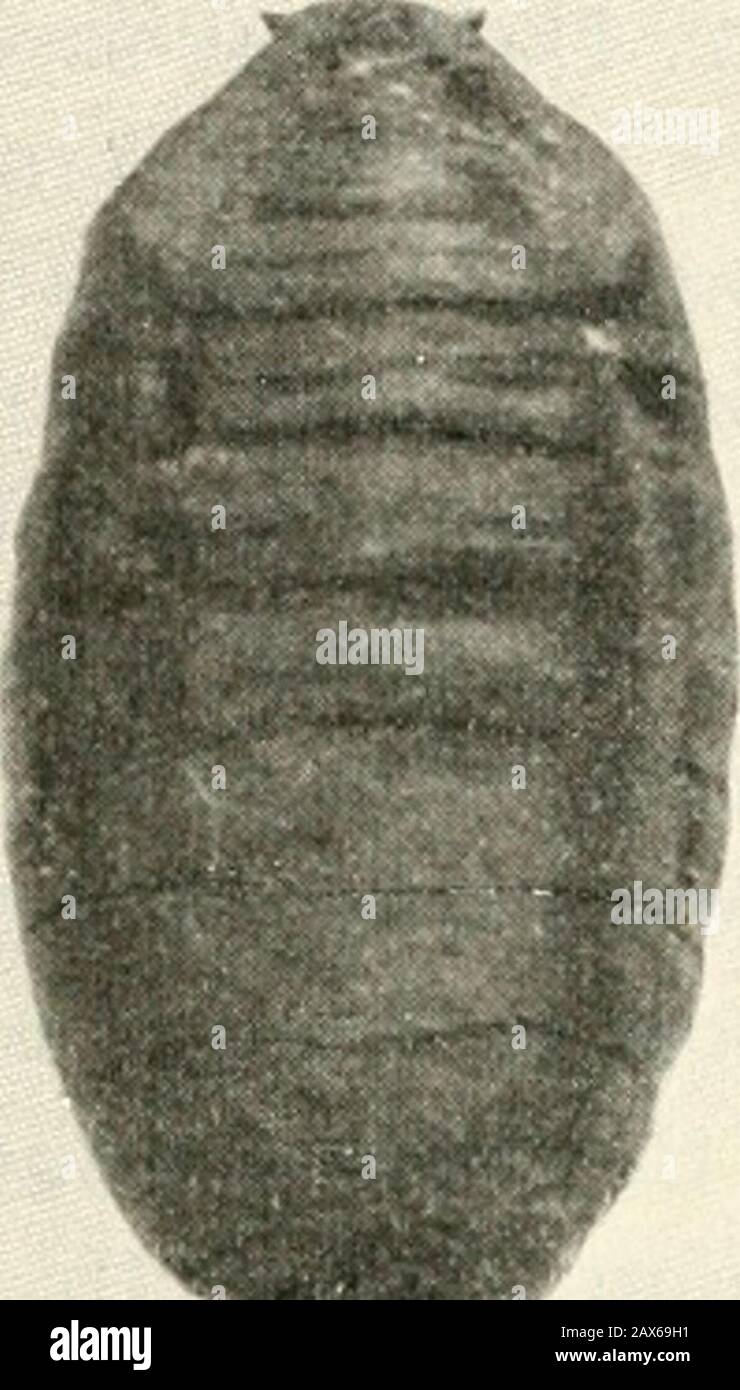 Hardened skin hi-res stock photography and images - Alamy