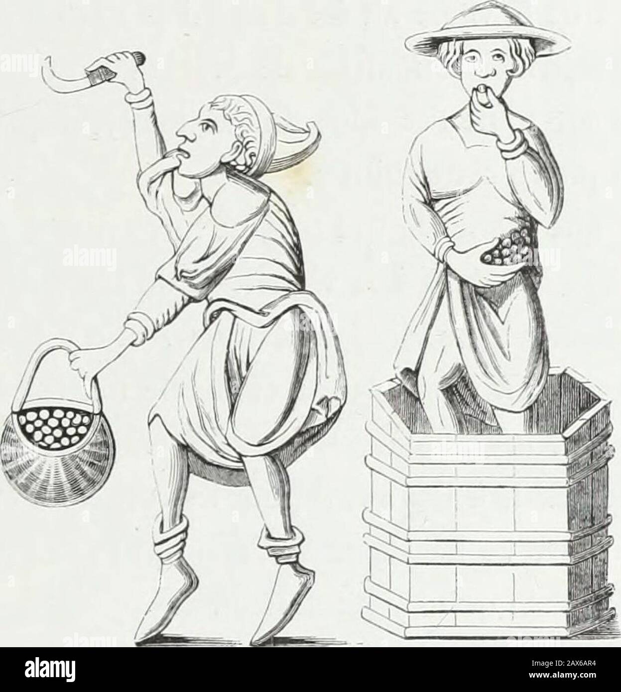 Piquette hi-res stock photography and images - Alamy