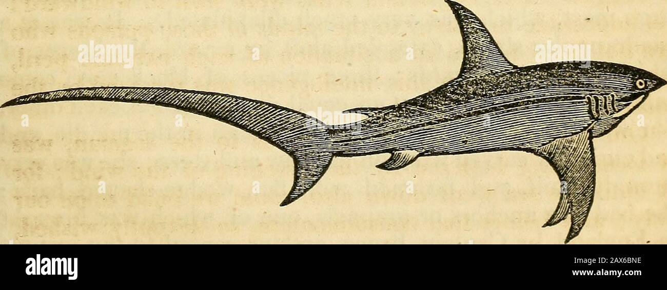 Centaur ship hi-res stock photography and images - Alamy