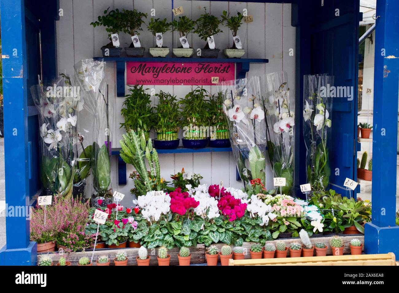 Marylebone florist hi-res stock photography and images - Alamy