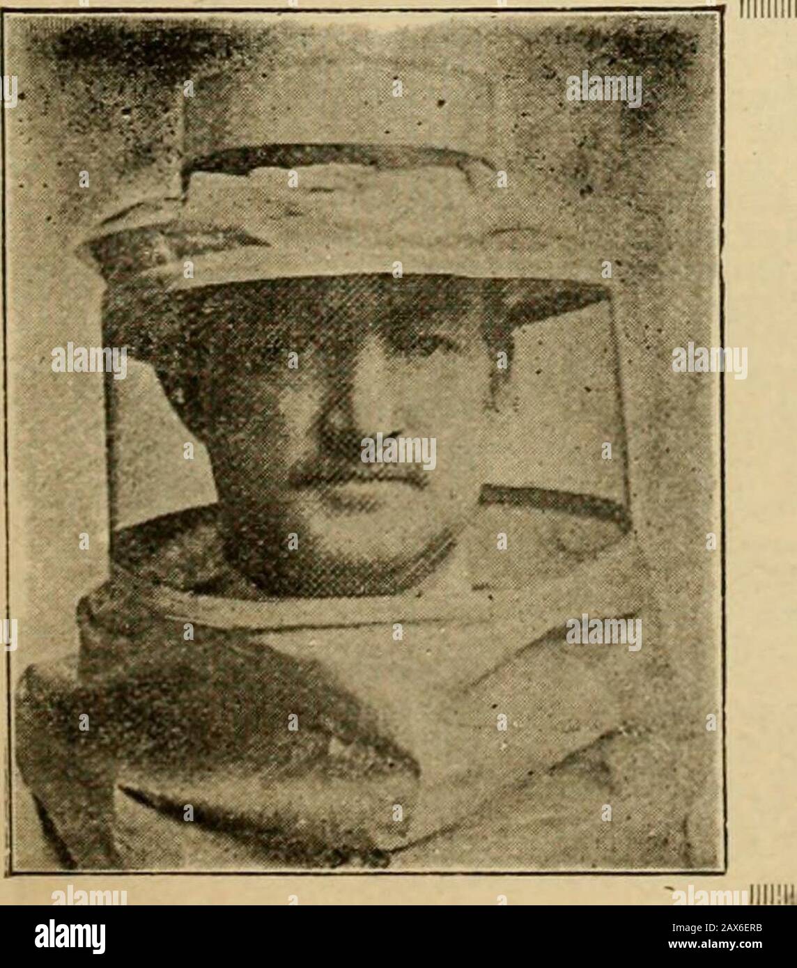 Llli hi-res stock photography and images - Alamy