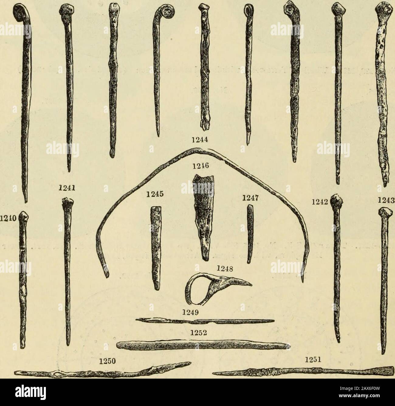 Wire fibula hi-res stock photography and images - Alamy