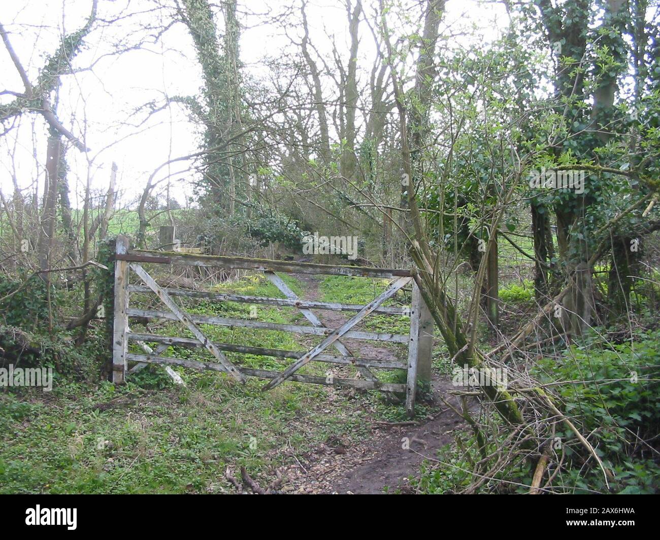 Blind lane hi-res stock photography and images - Alamy