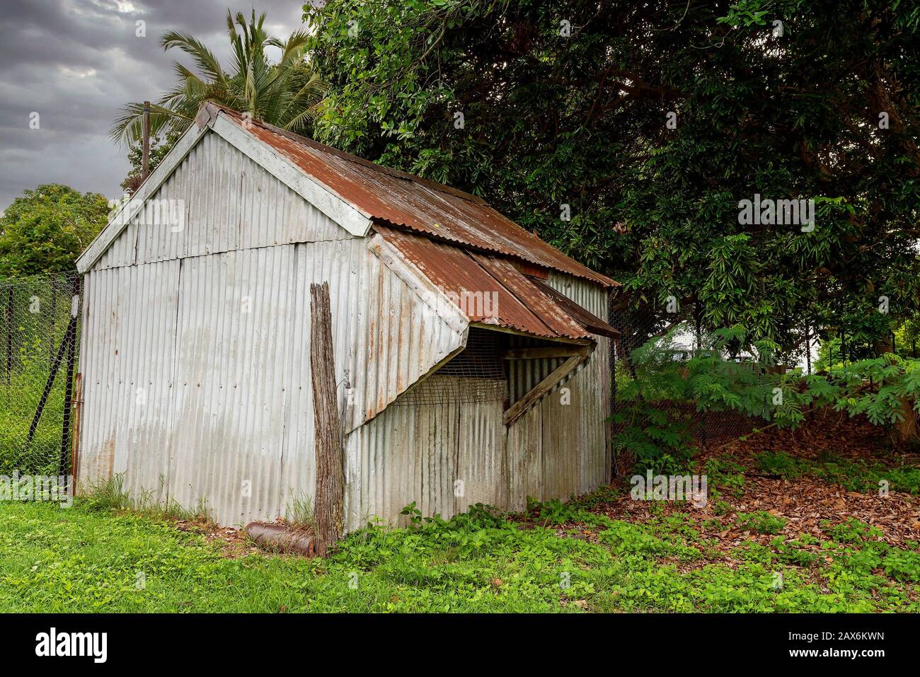 Old corrugated iron shed with push out windows in a lush green garden ...