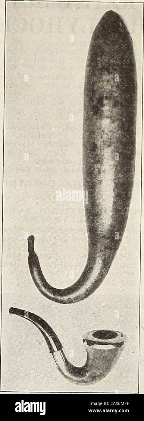 Long dipper gourd hi-res stock photography and images - Alamy