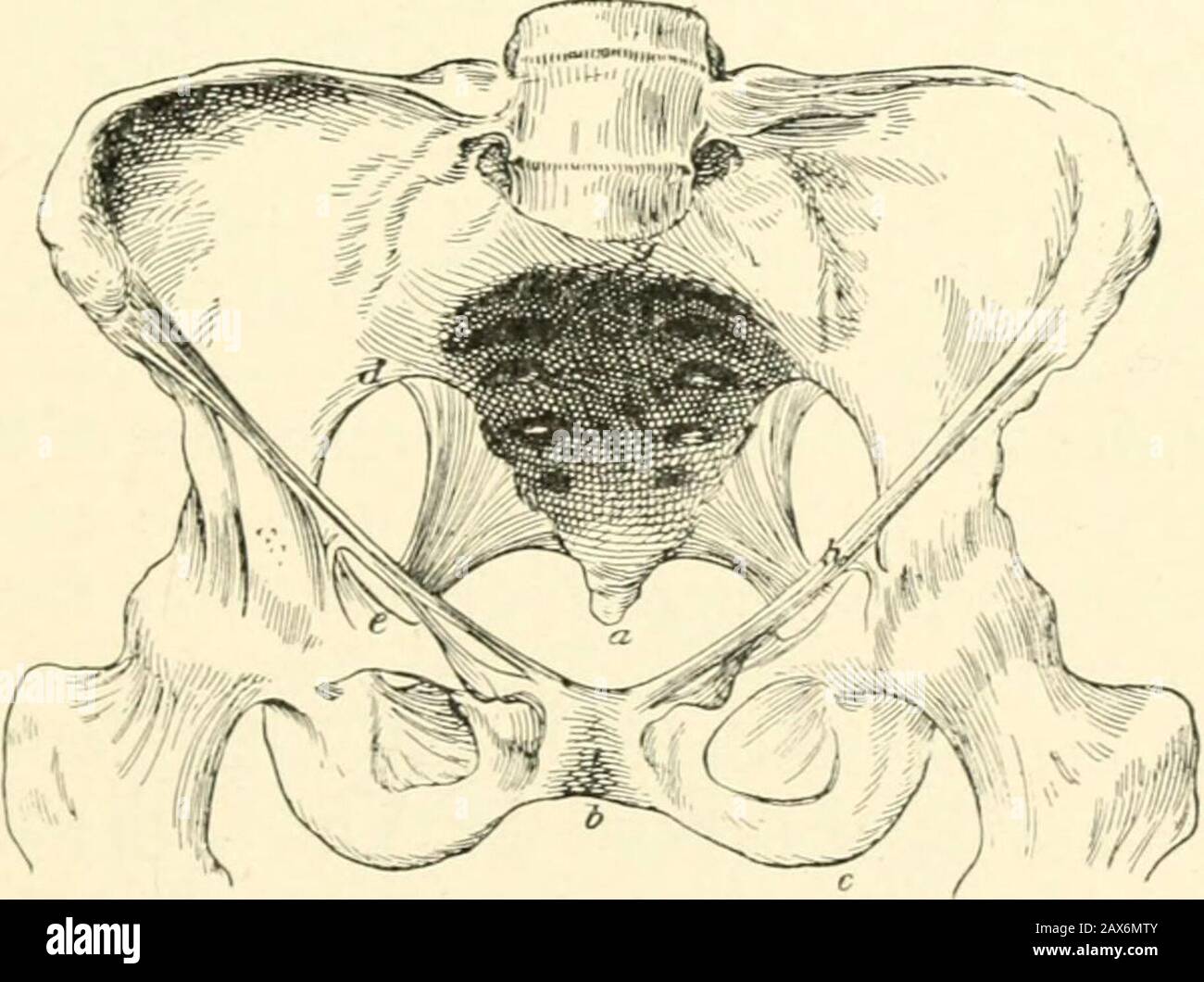 Ischii hi-res stock photography and images - Alamy