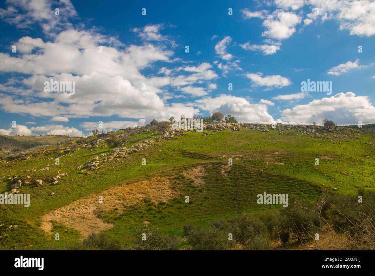 Irbid jordan hi-res stock photography and images - Alamy