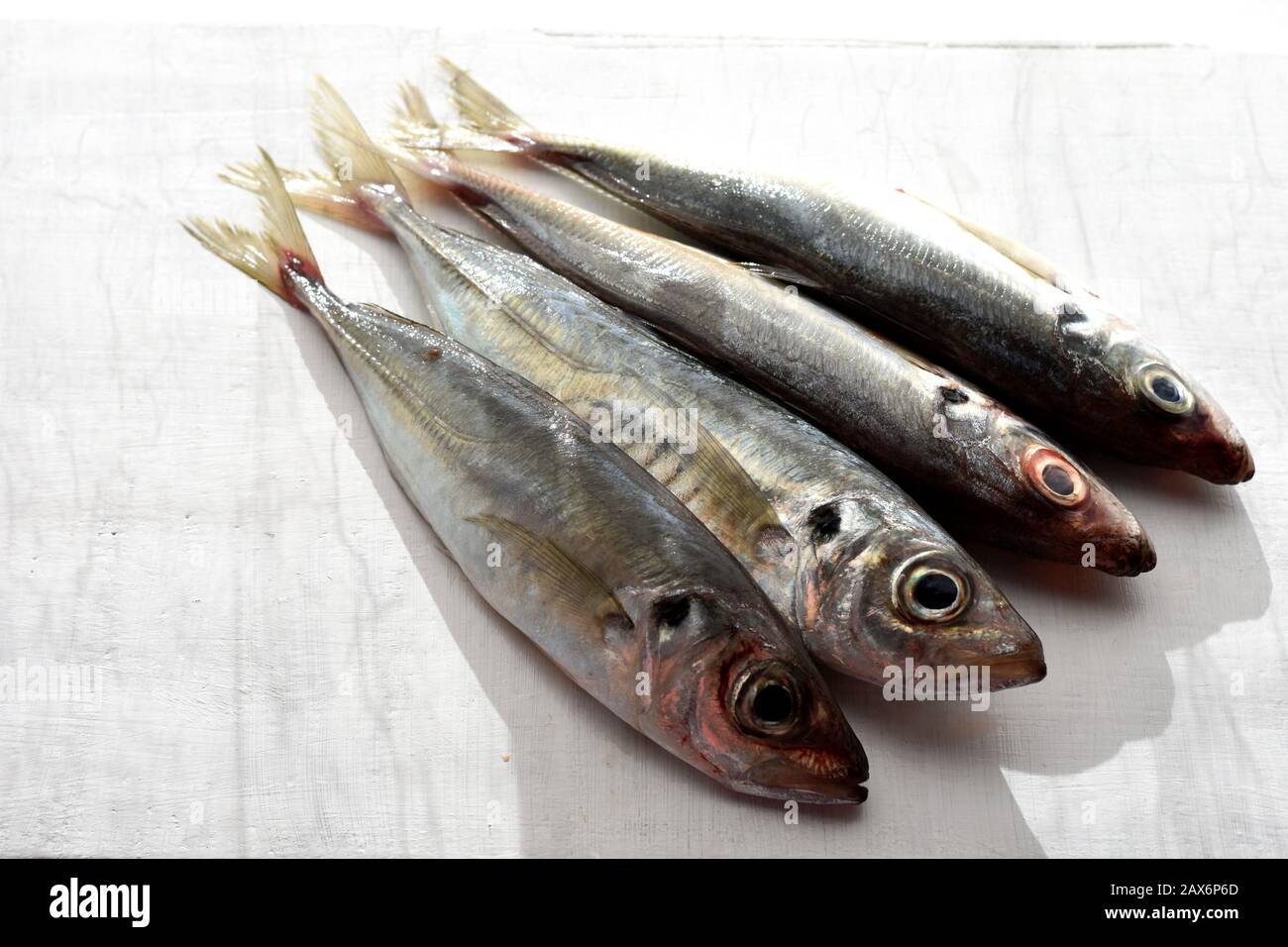 Closeup of Fresh Saba fish (Mackerel) isolated on white background ...