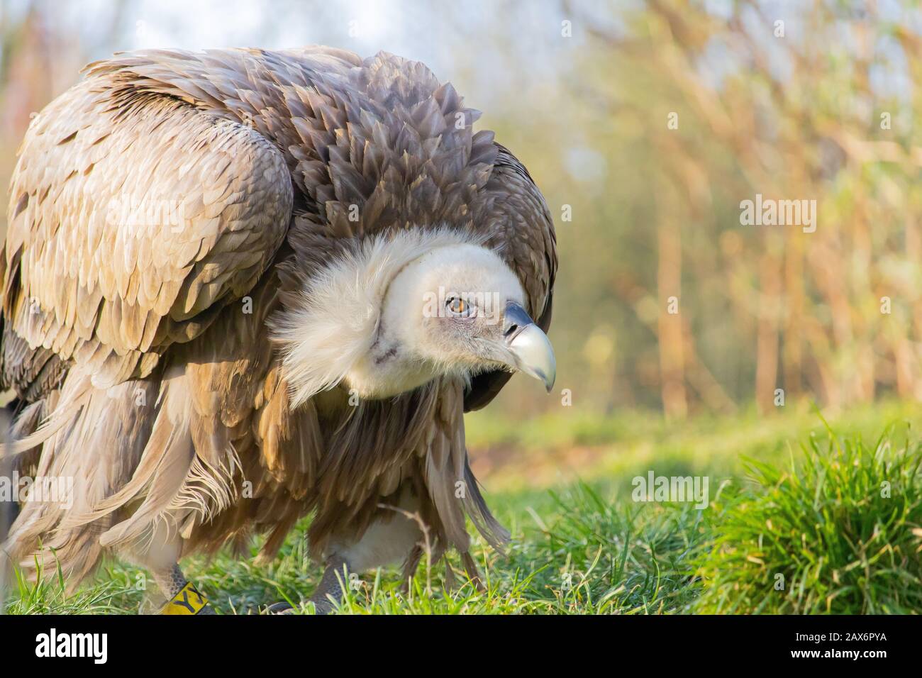 Crouched position hi-res stock photography and images - Alamy