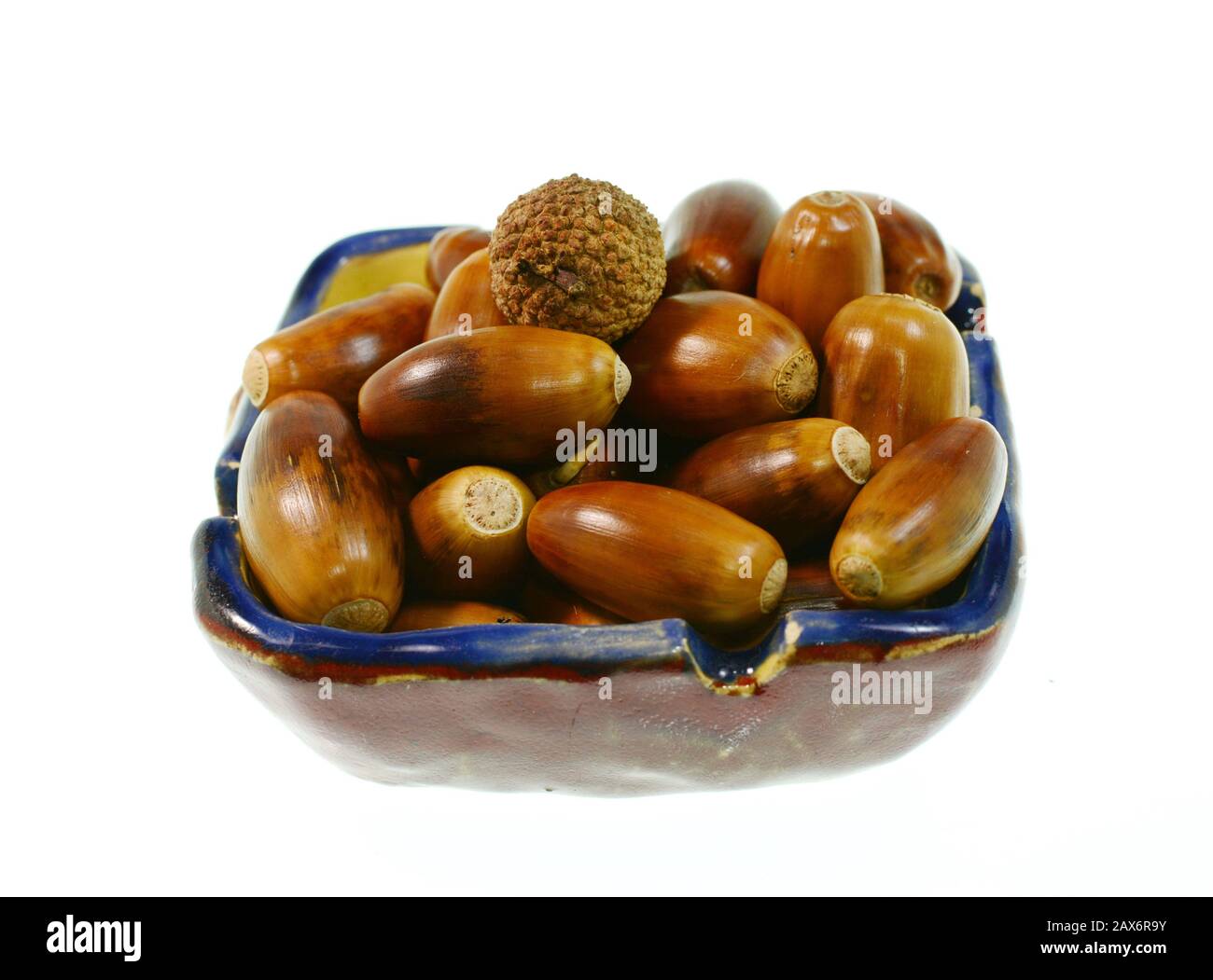 Bronze acorn Cut Out Stock Images & Pictures - Alamy