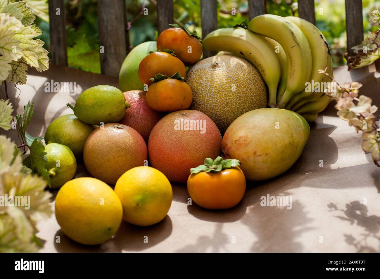 Closeup of fruits on the table surrounded by greenery under the ...