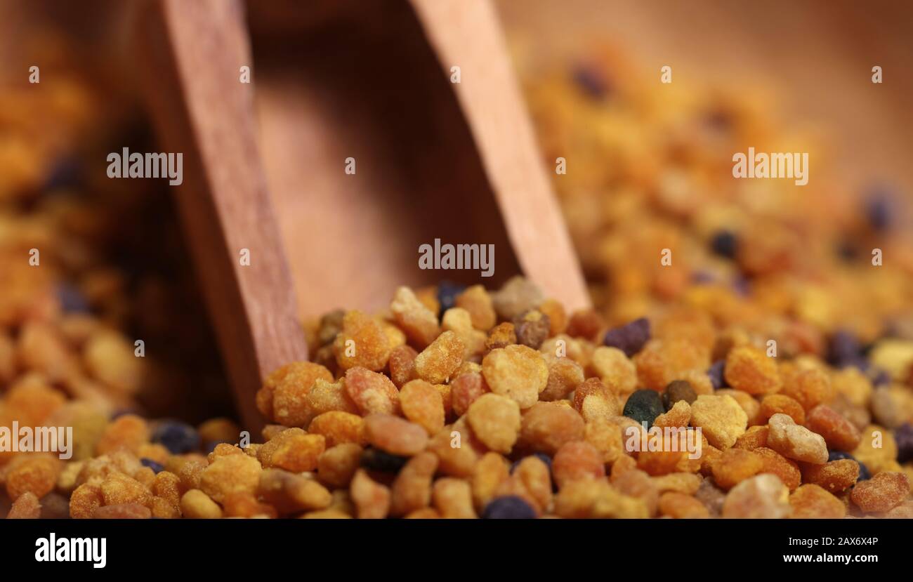 Pollen grains food bee honey Stock Photo - Alamy