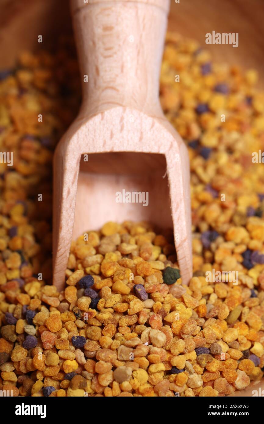 Pollen grains food bee honey Stock Photo - Alamy