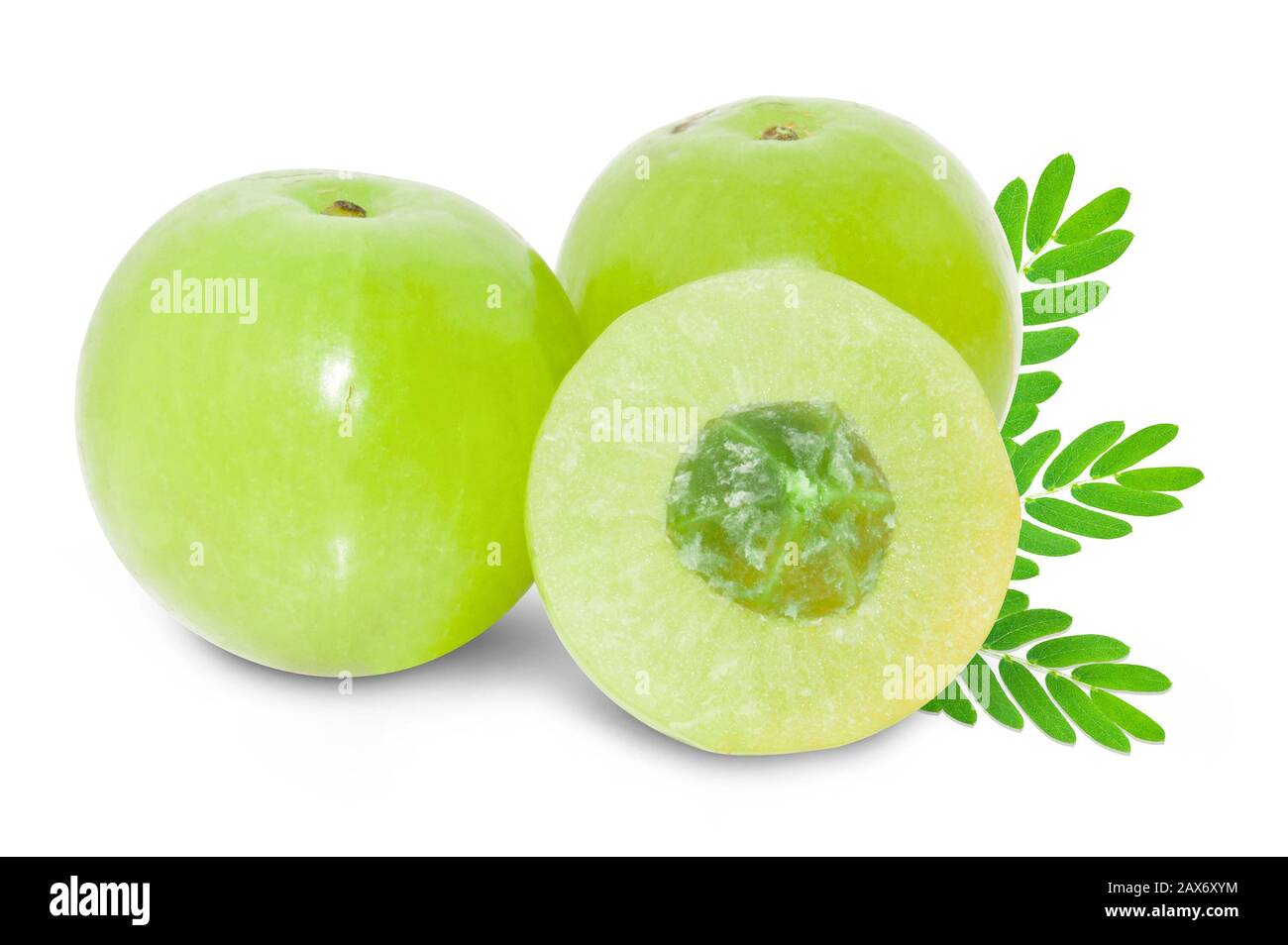 Amla green fruits ,Phyllanthus emblica isolated on white background ...