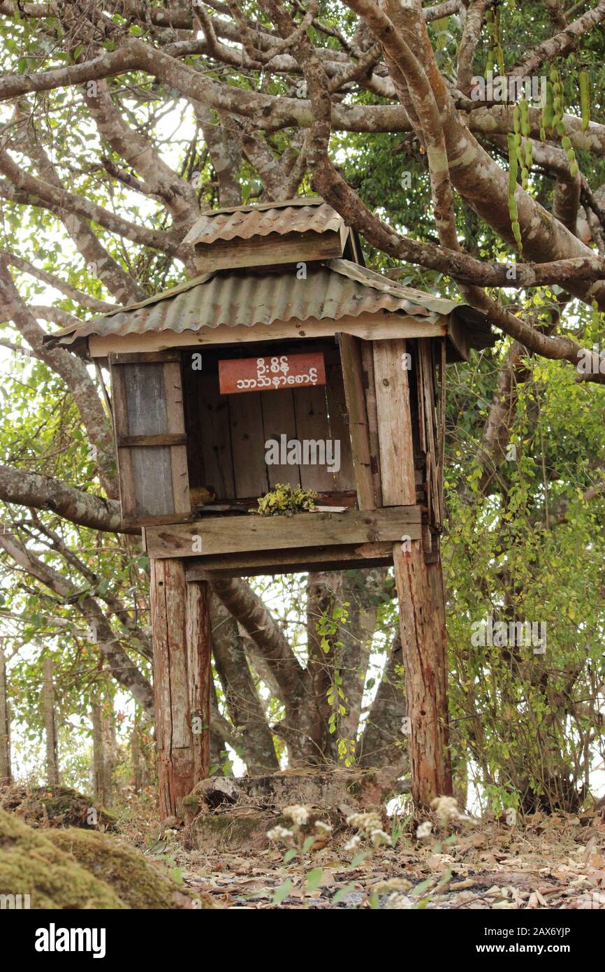 House under tree hi-res stock photography and images - Alamy
