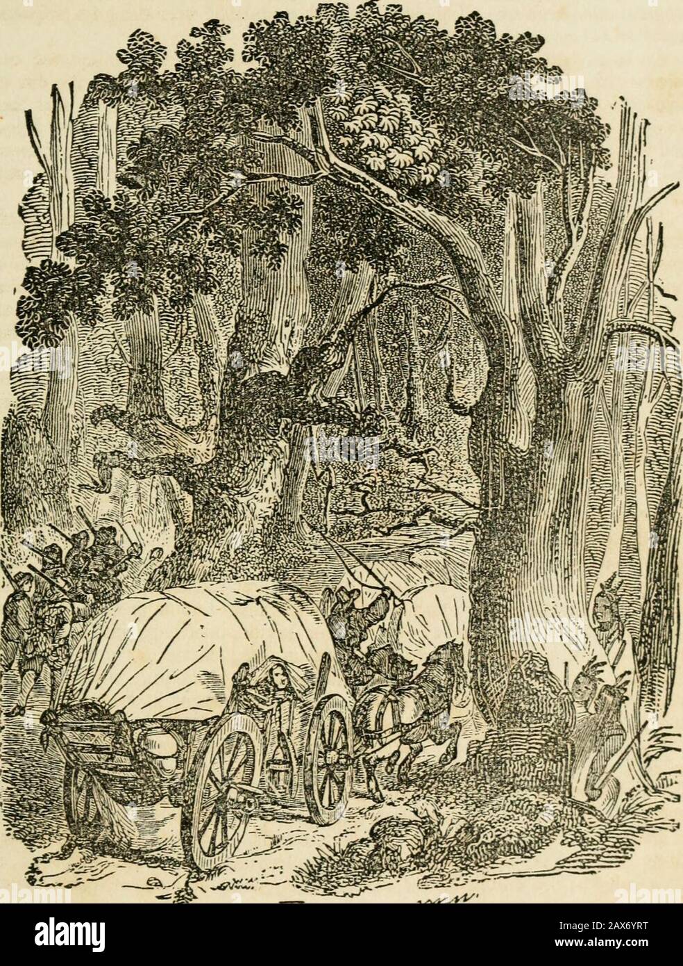 Charape hi-res stock photography and images - Alamy