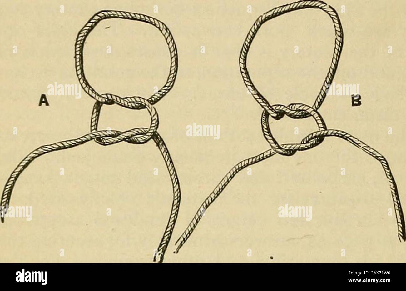 Surgery; its theory and practice . ted that two ligaturesshould be ...