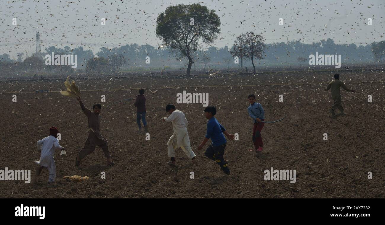 Human eating insects hi-res stock photography and images - Alamy