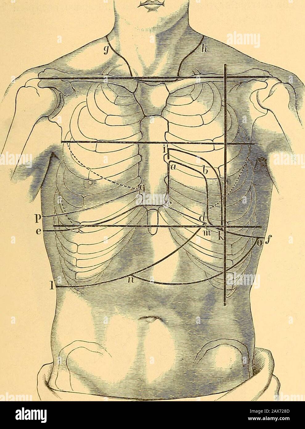 A manual of auscultation and percussion; . ispar-agement to physical ...