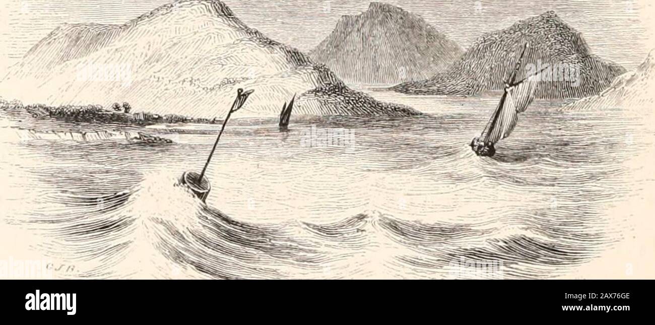 A history of British star-fishes, and other animals of the class ...