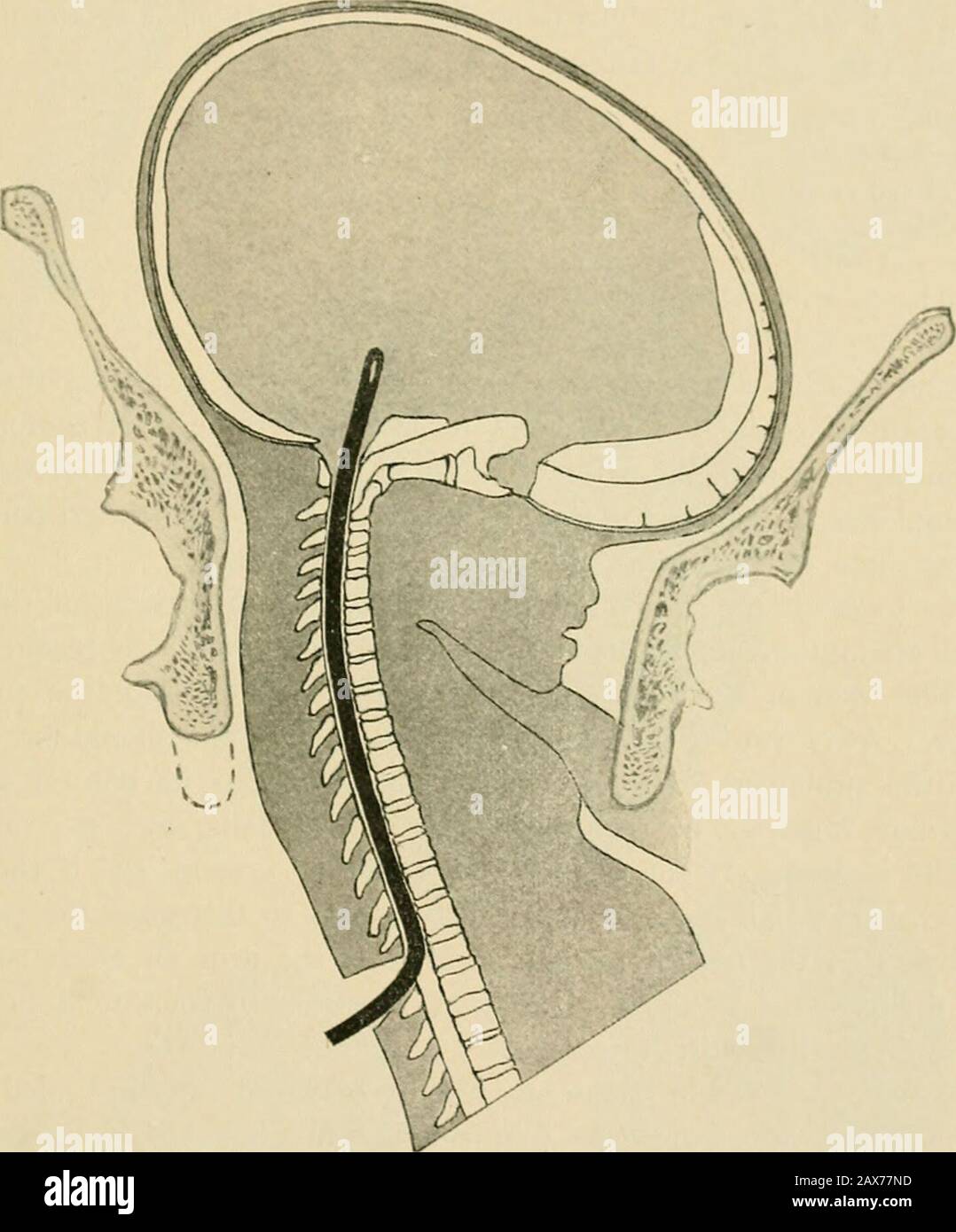 The American text-book of obstetrics for practitioners and students . 1 ...