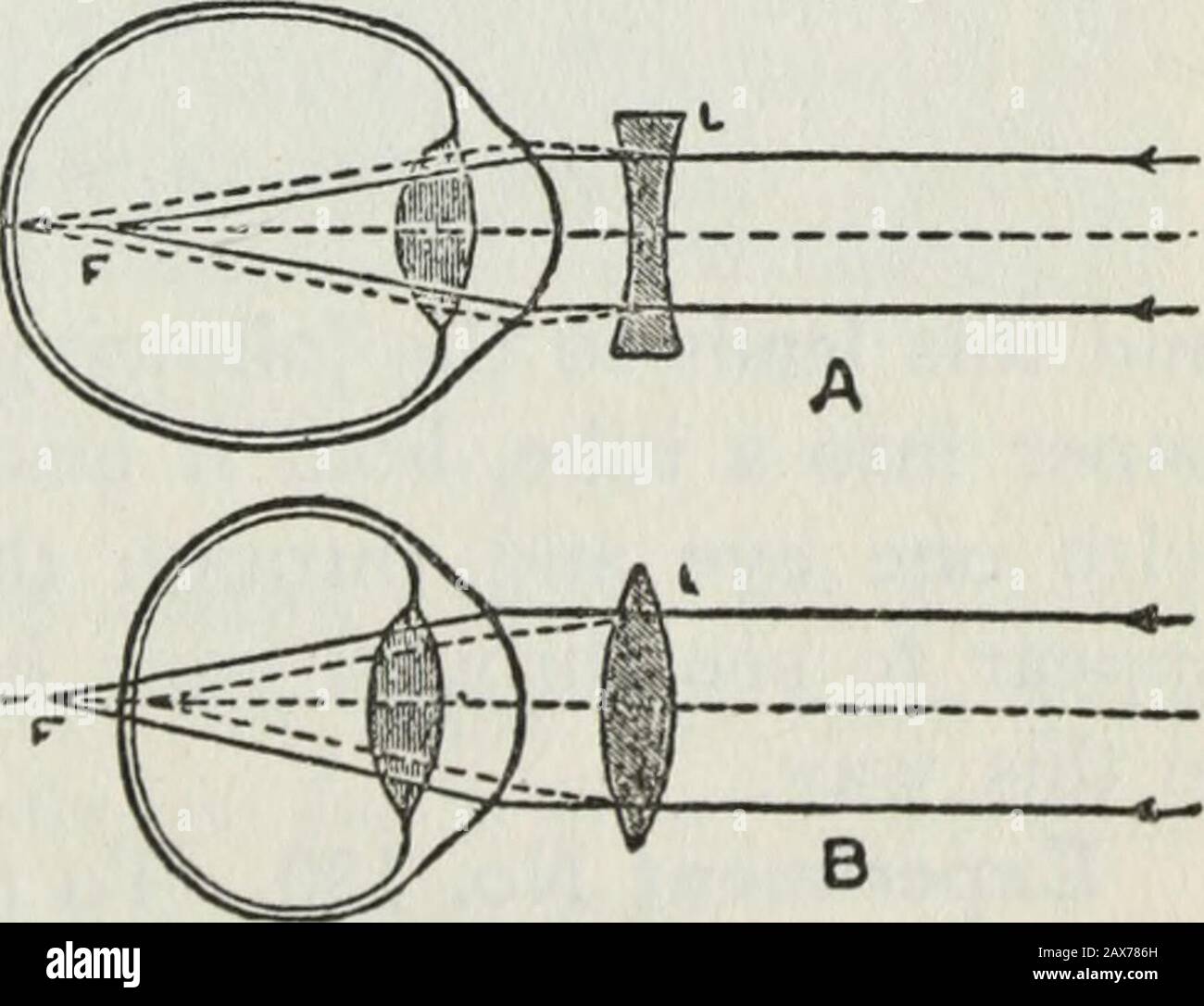 Gilbert light experiments for boys . optic aervK Fig. 190. Your eyeFrom ...