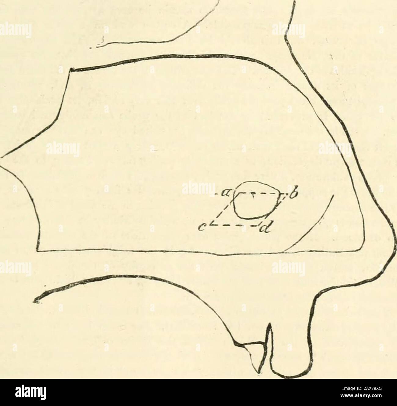 Gocd hi-res stock photography and images - Alamy