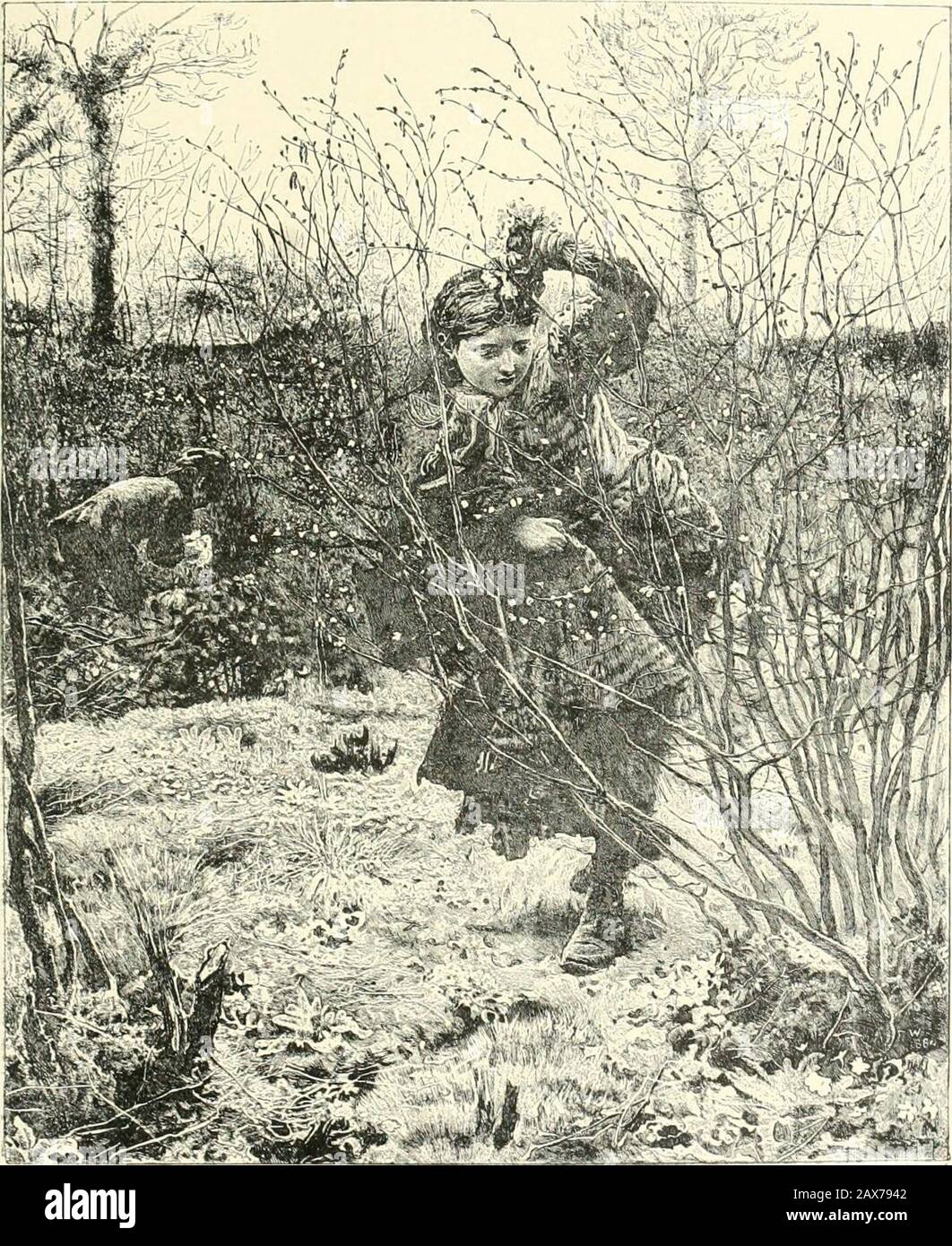 Stobhall hi-res stock photography and images - Alamy