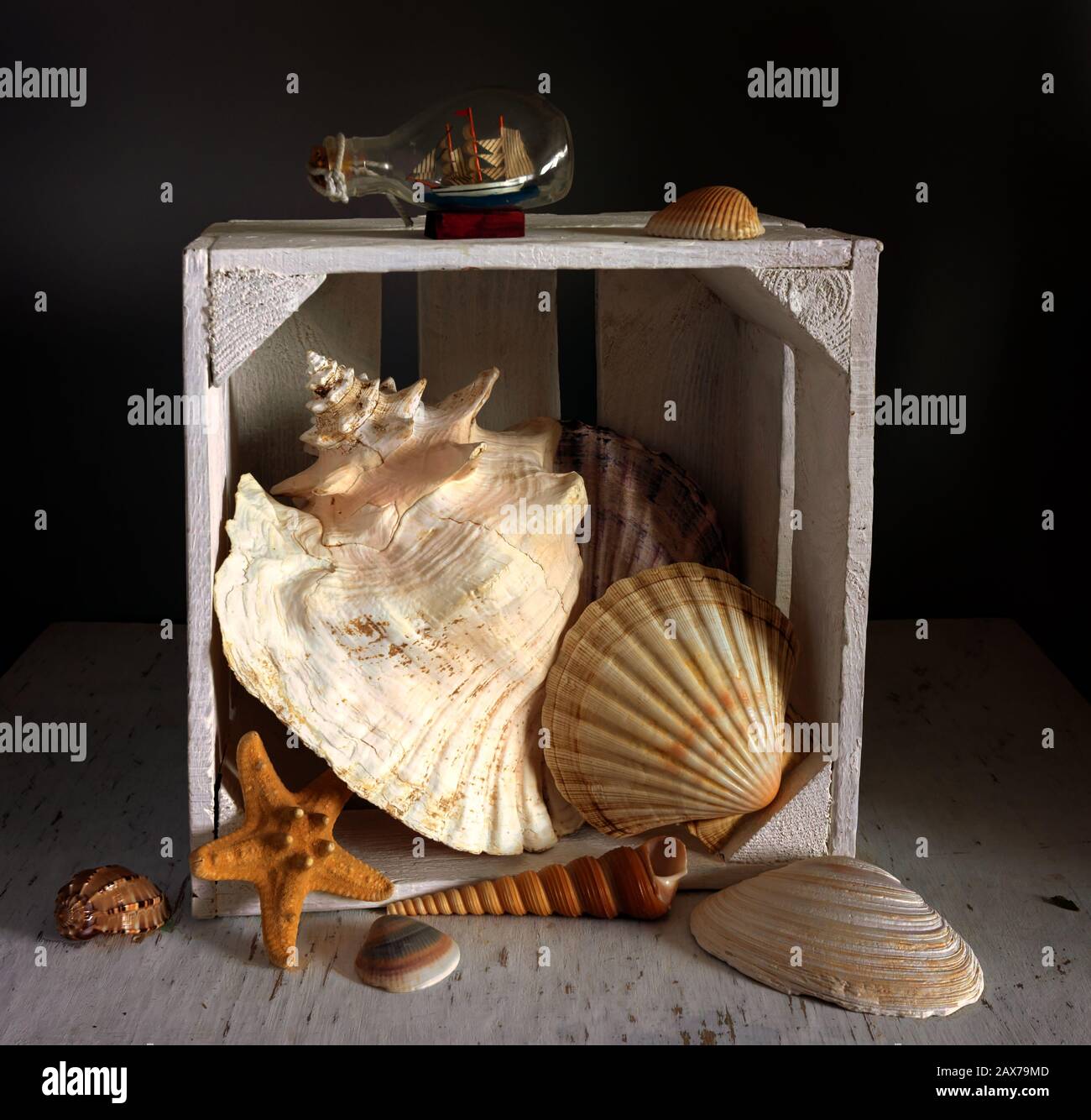 Still life with shells and a boat. A reminder of rest and travel ...