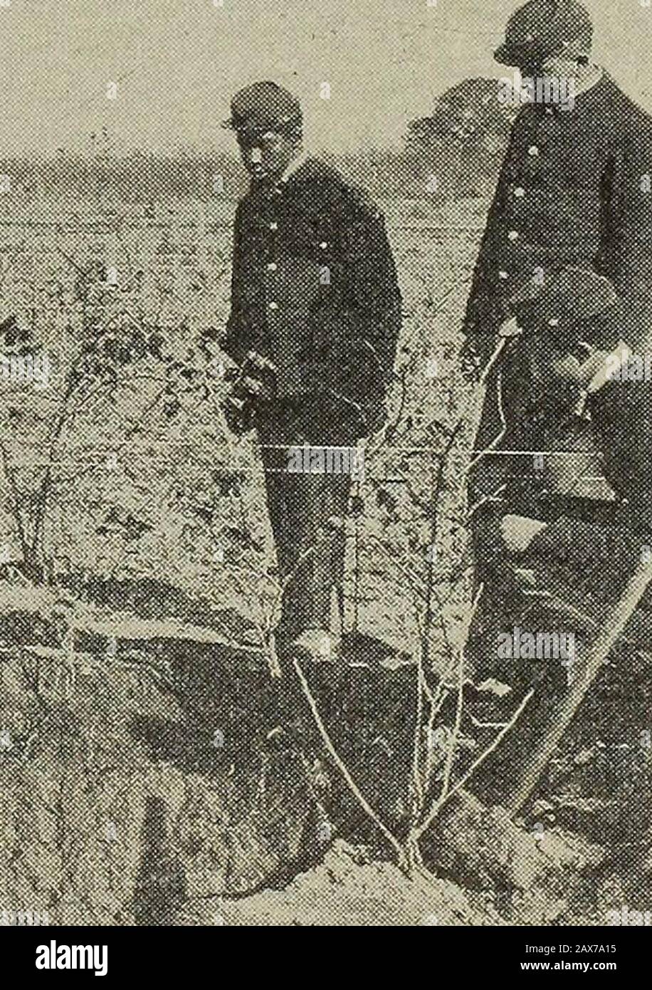 Roots of virginia culture hi-res stock photography and images - Alamy