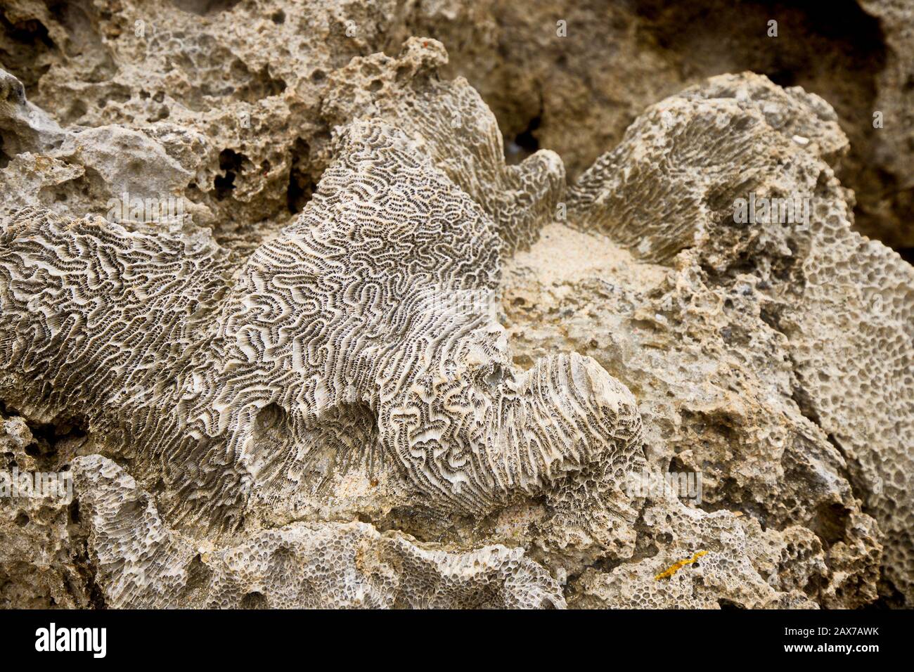 Lý son island hi-res stock photography and images - Alamy