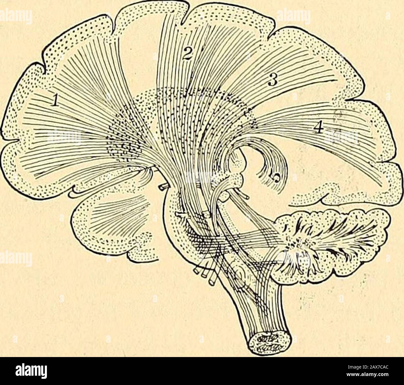 An introductory psychology, with some educational applications . ed ...