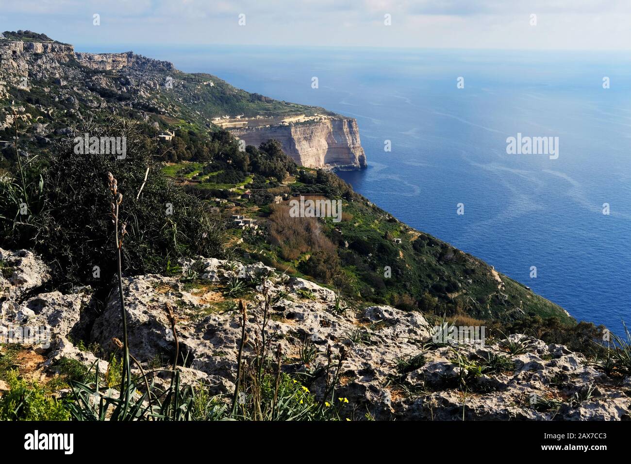 White Dingli cliffs - the highest cliffs on the island of Malta Stock ...