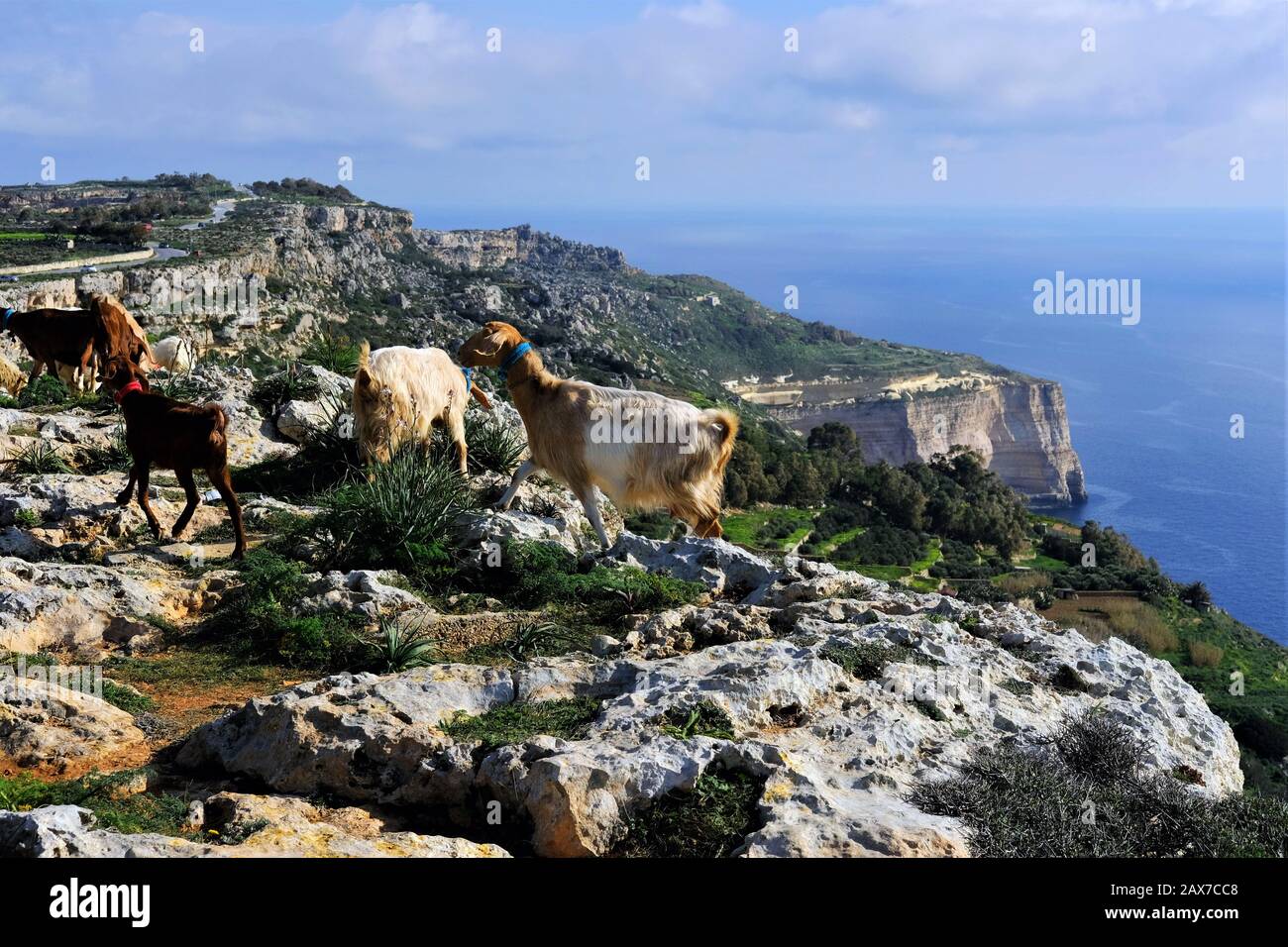 Cliffs Of Malta High Resolution Stock Photography and Images - Alamy