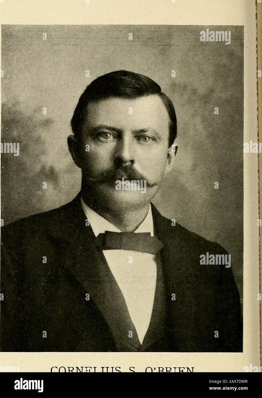 Bunchgrass prairie hi-res stock photography and images - Alamy