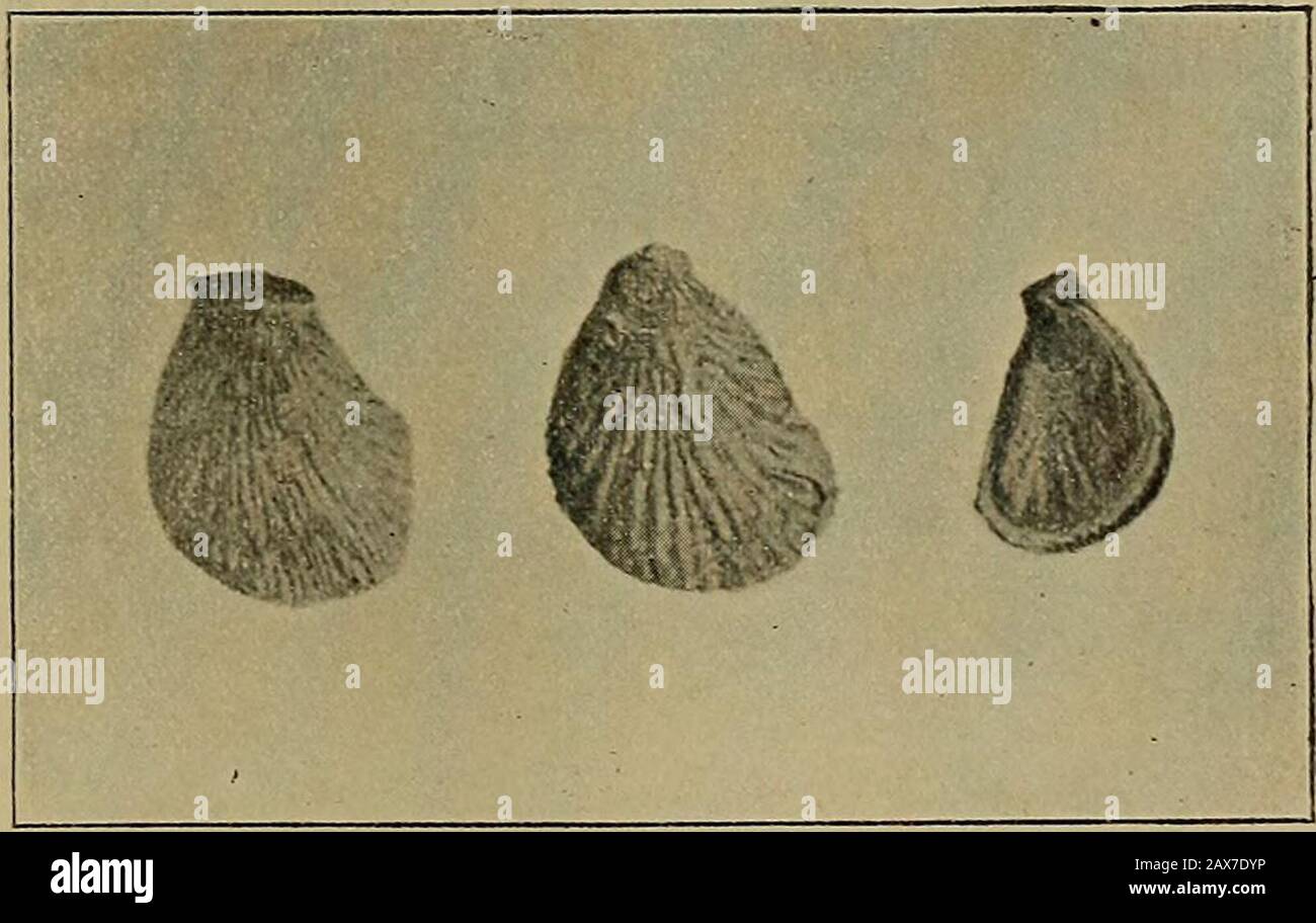 Dundry hi-res stock photography and images - Alamy