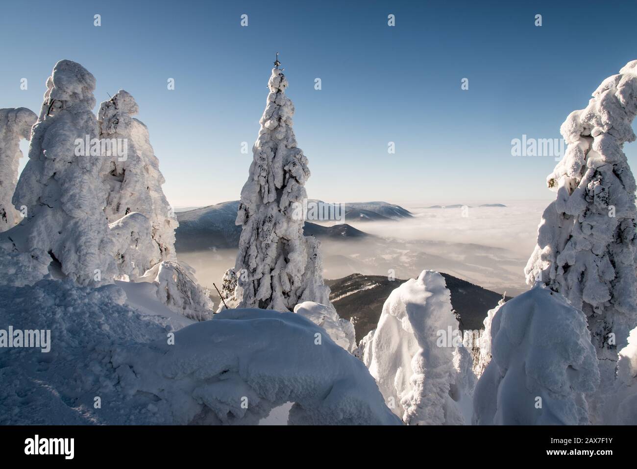 winter bellow Lysa hora hill in Moravskoslezske Beskydy mountains in ...