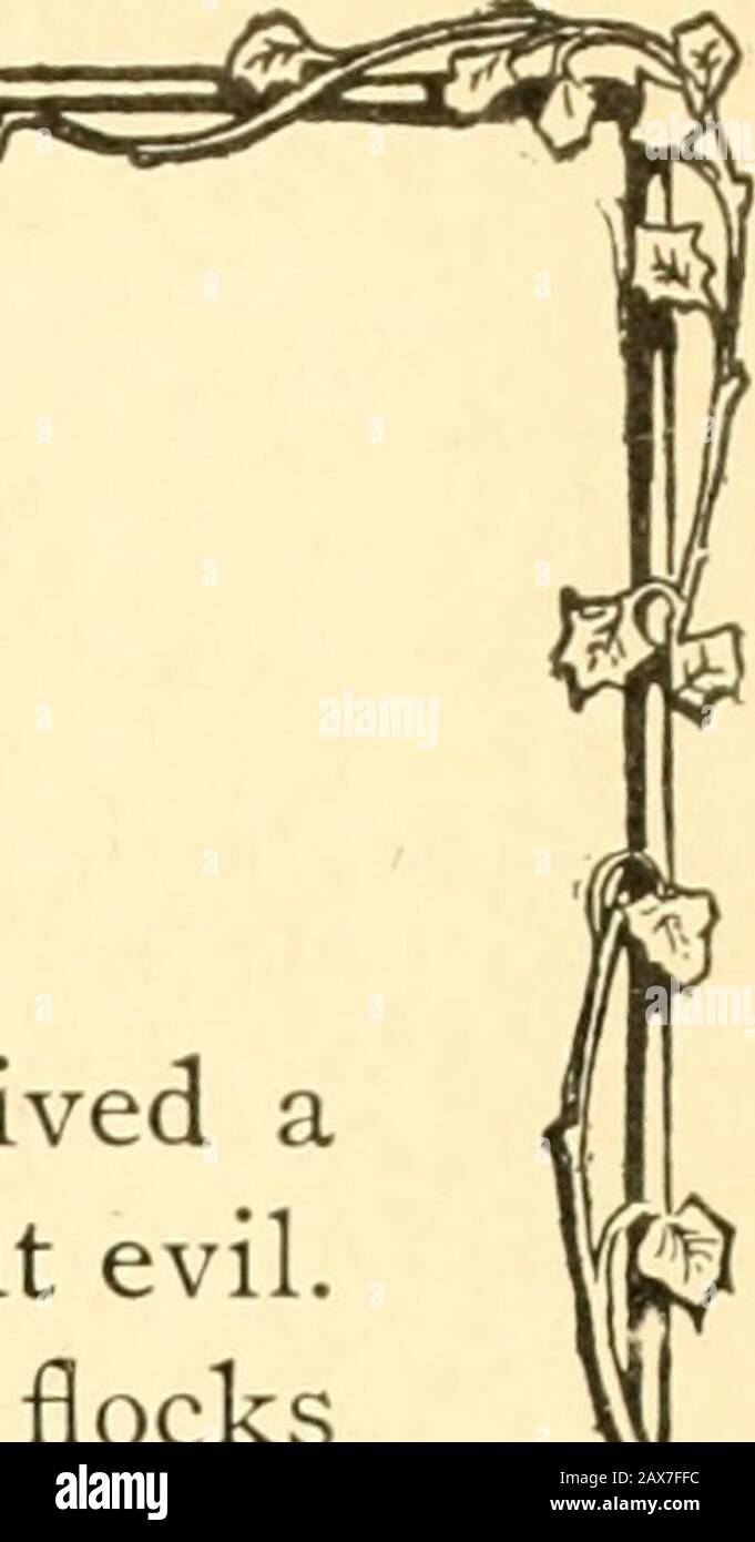 Goliath The Lion High Resolution Stock Photography and Images - Alamy