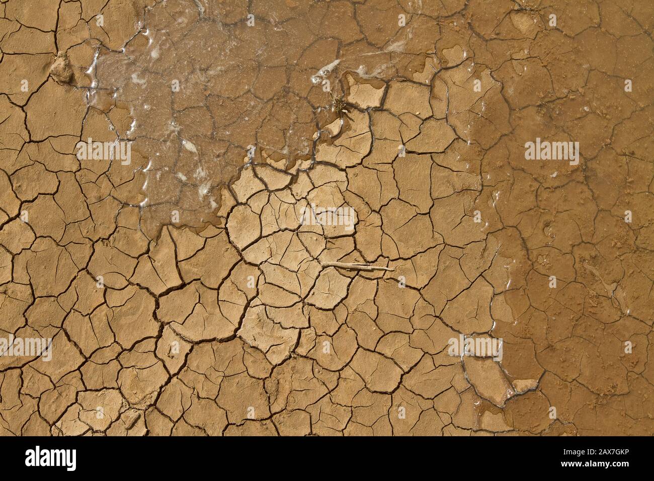 Water creeps over the dry and cracked desert floor Stock Photo - Alamy