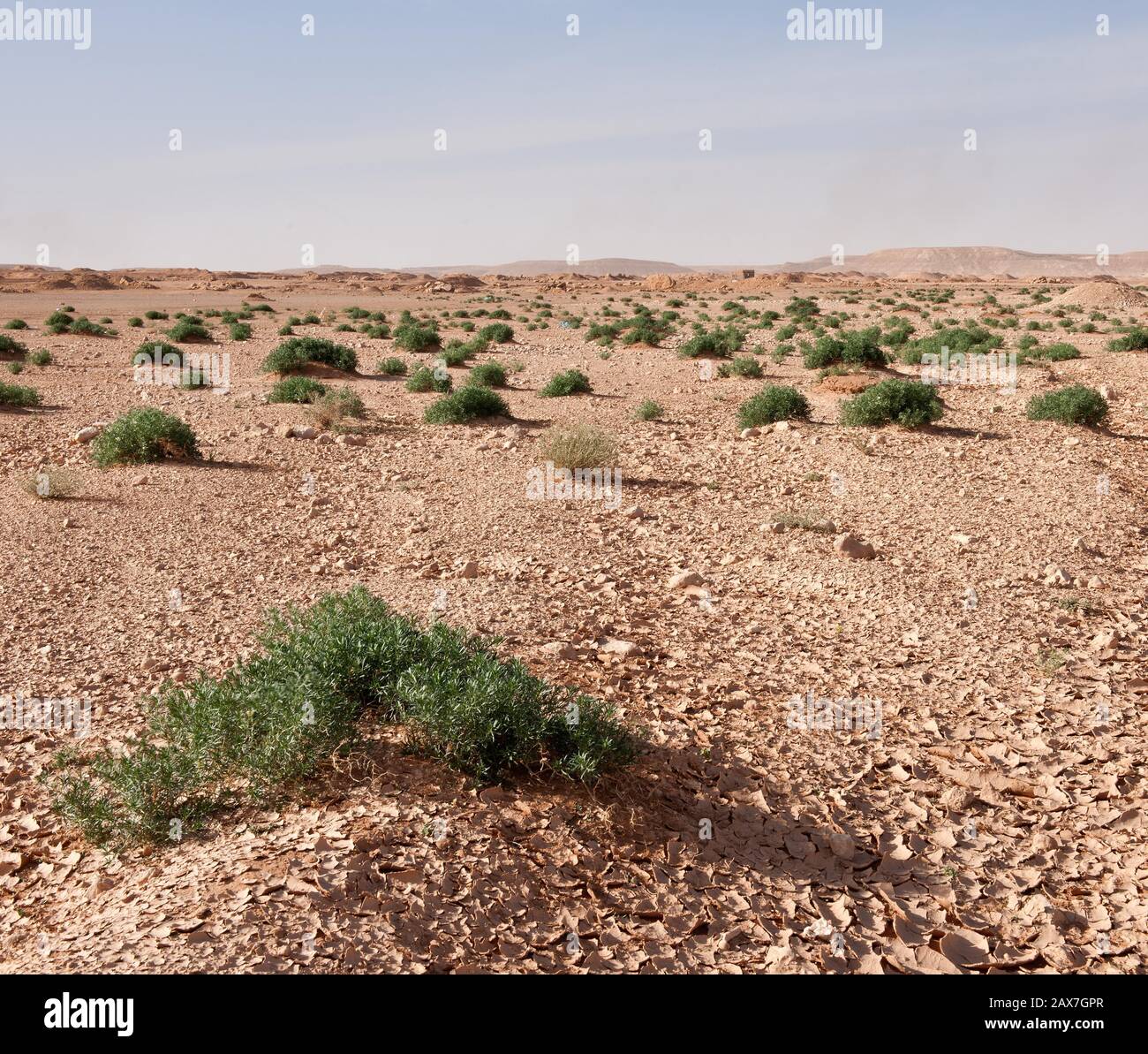 Desert in Saudi Arabia Stock Photo - Alamy