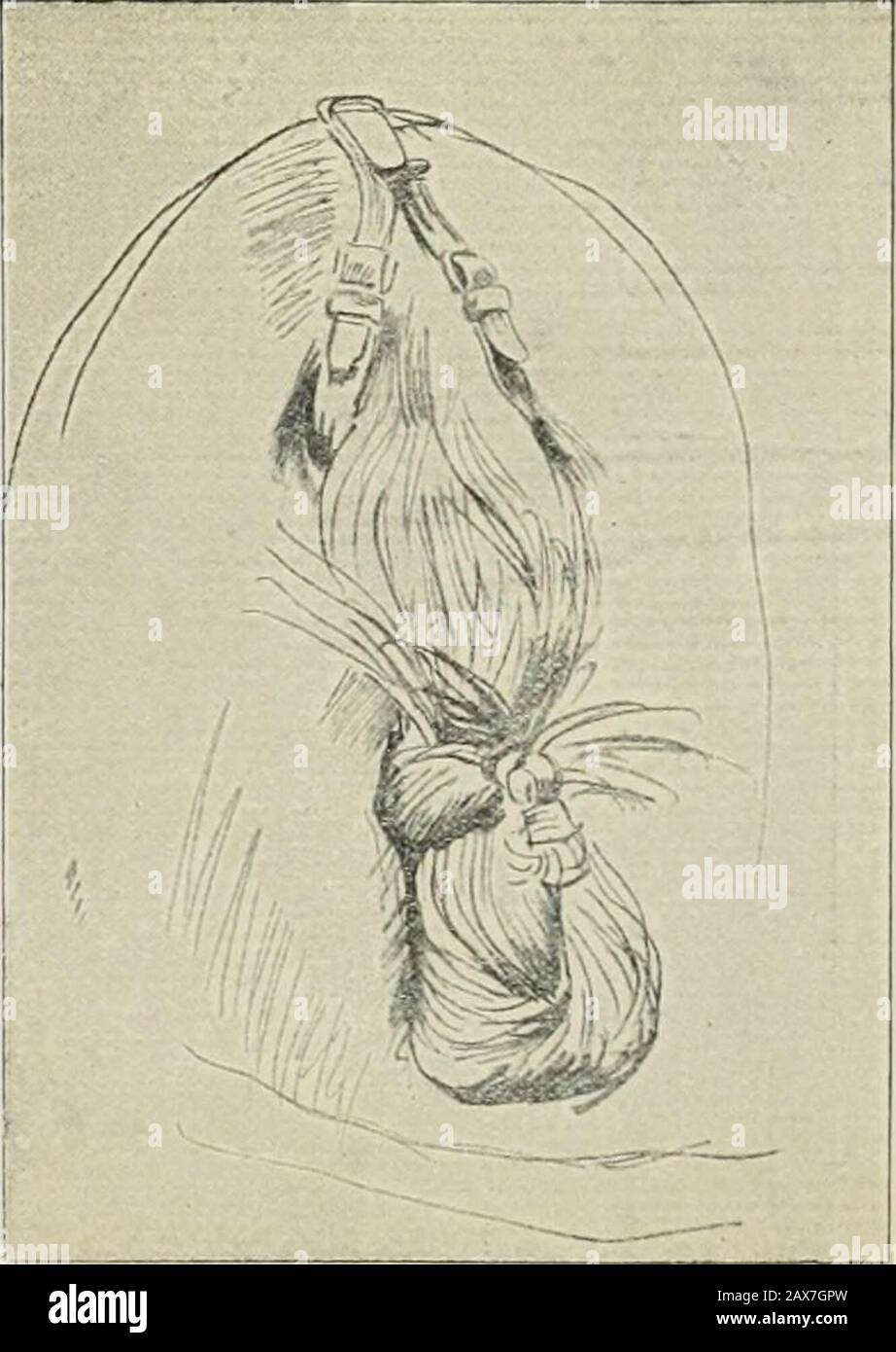 Types of artillery hi-res stock photography and images - Alamy