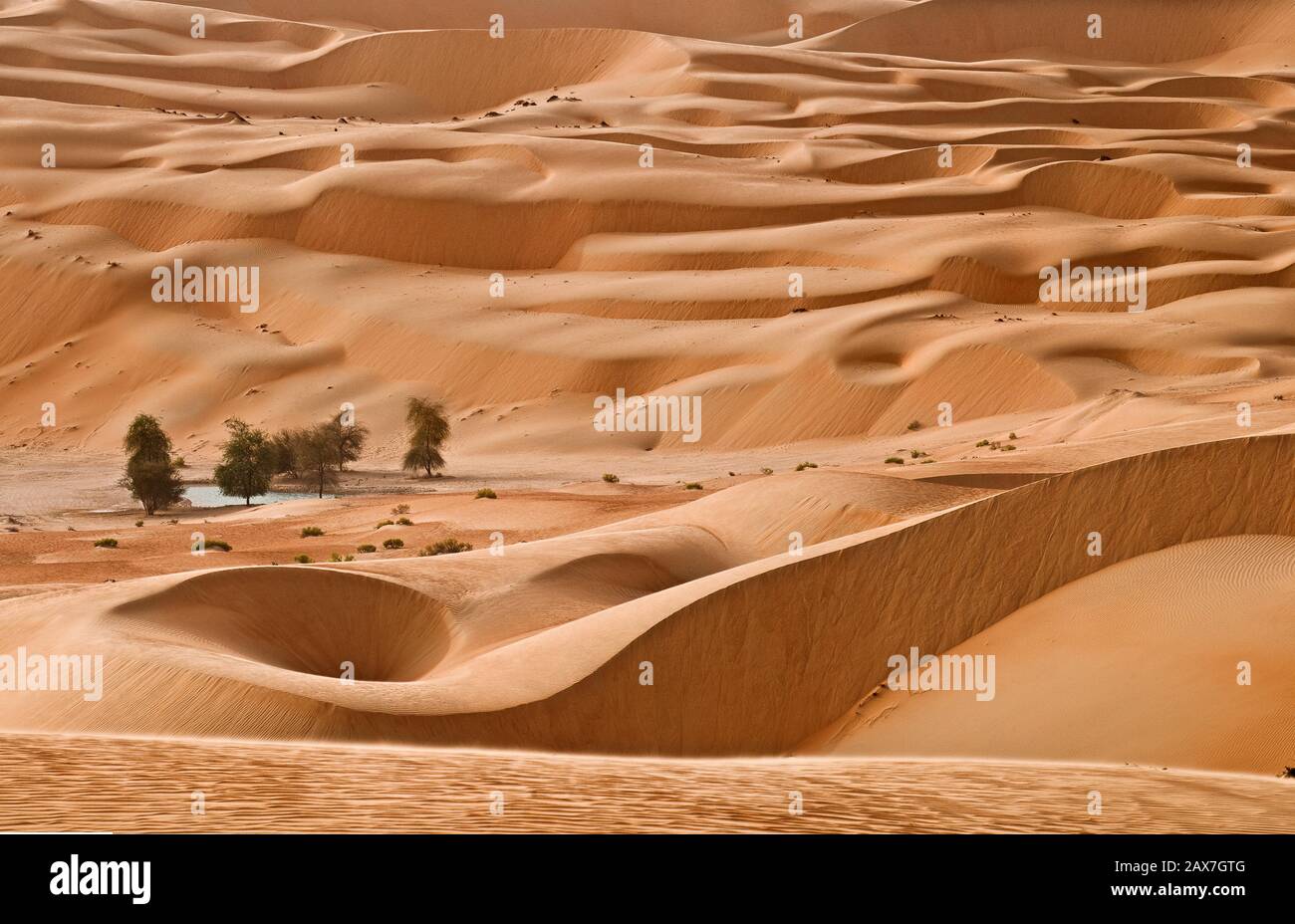 Sand dunes near Abu Dhabi, United Arab Emirates Stock Photo - Alamy
