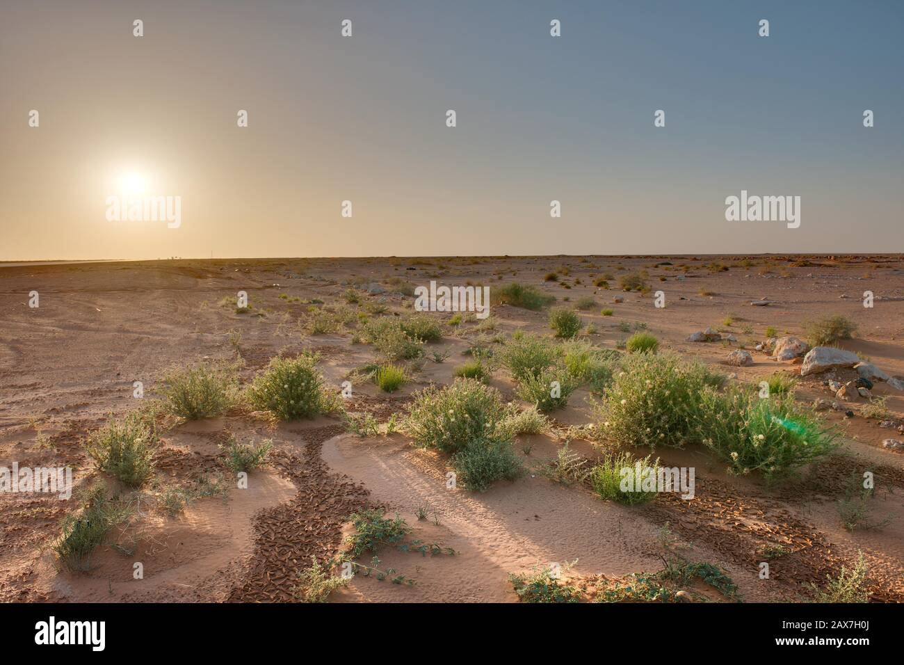 Desert in Saudi Arabia Stock Photo - Alamy