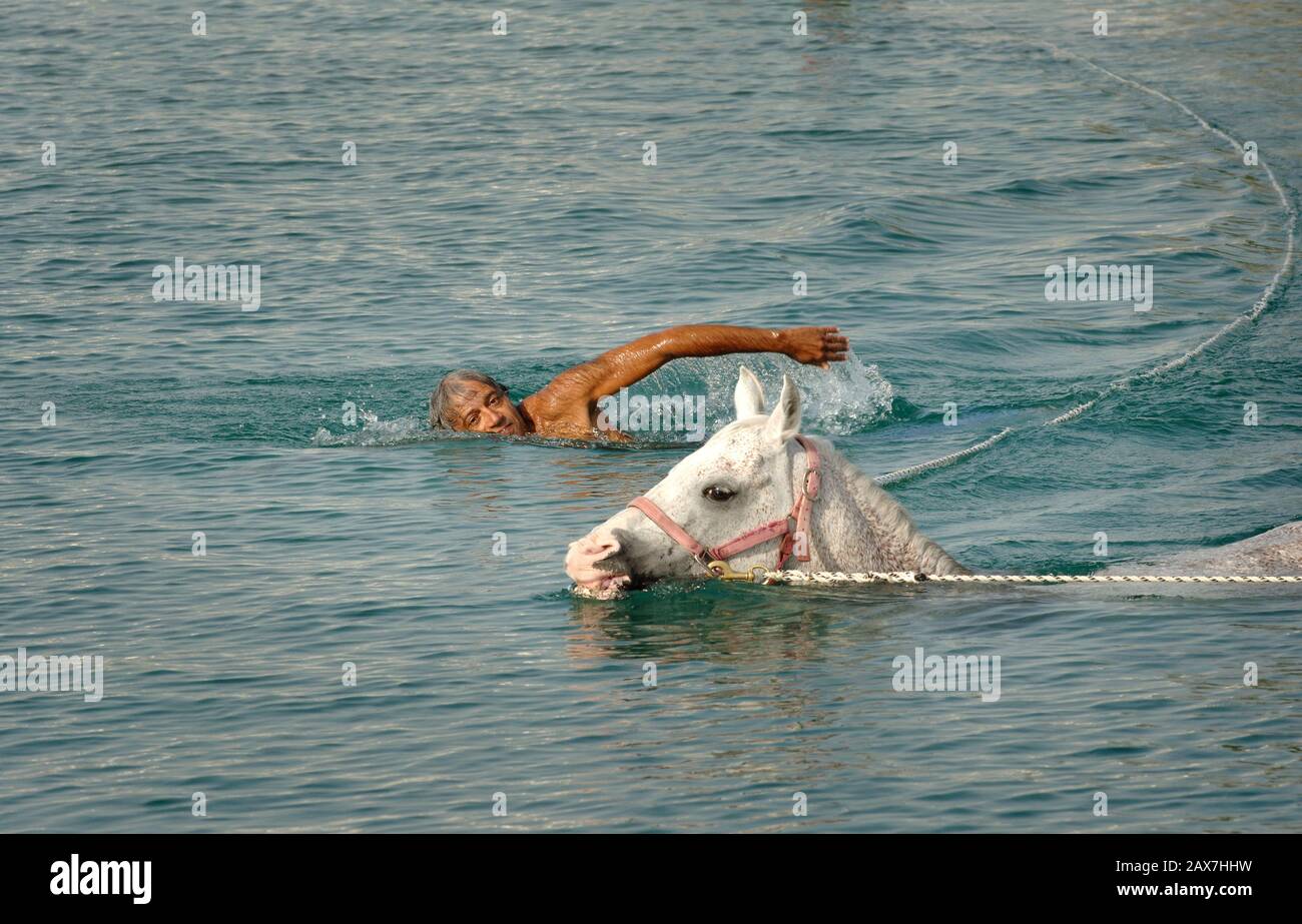 Saudi man swimming with his hours in Jeddah Stock Photo - Alamy
